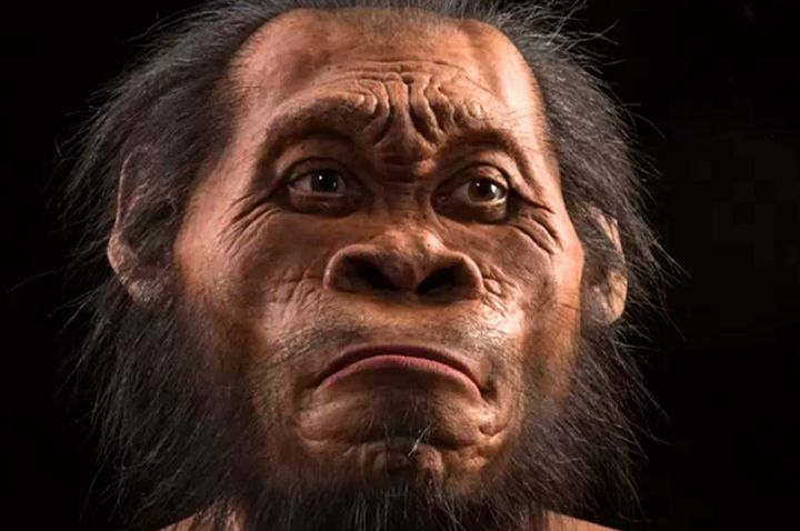 Another Human Species Interacts With Us News La Trobe University