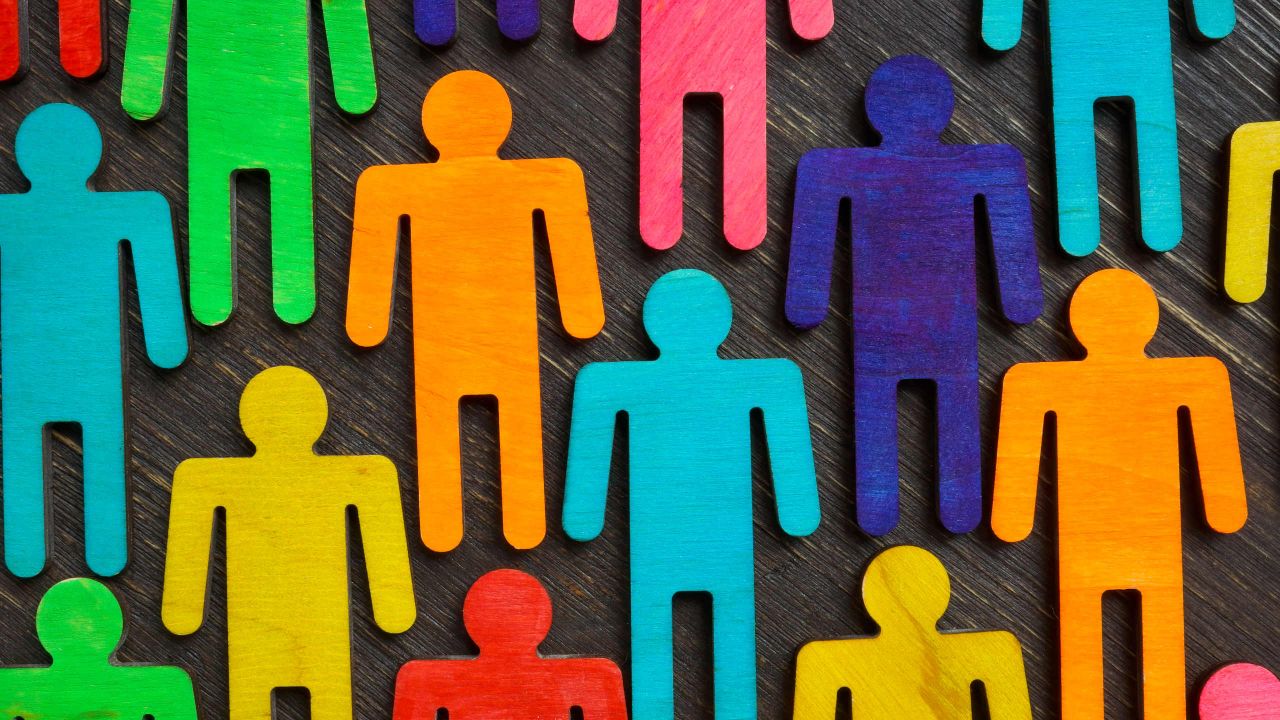 Master of Education (Inclusion and diversity), Courses and degrees, La ...