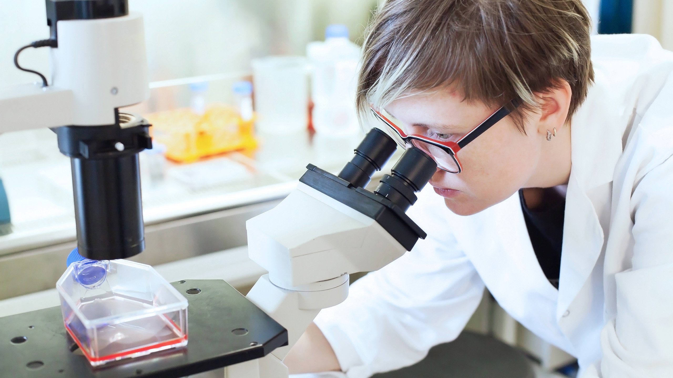 Bachelor of Biological Sciences, Courses and degrees, La Trobe University Bachelor of Biological Sciences, Courses and degrees, La Trobe University