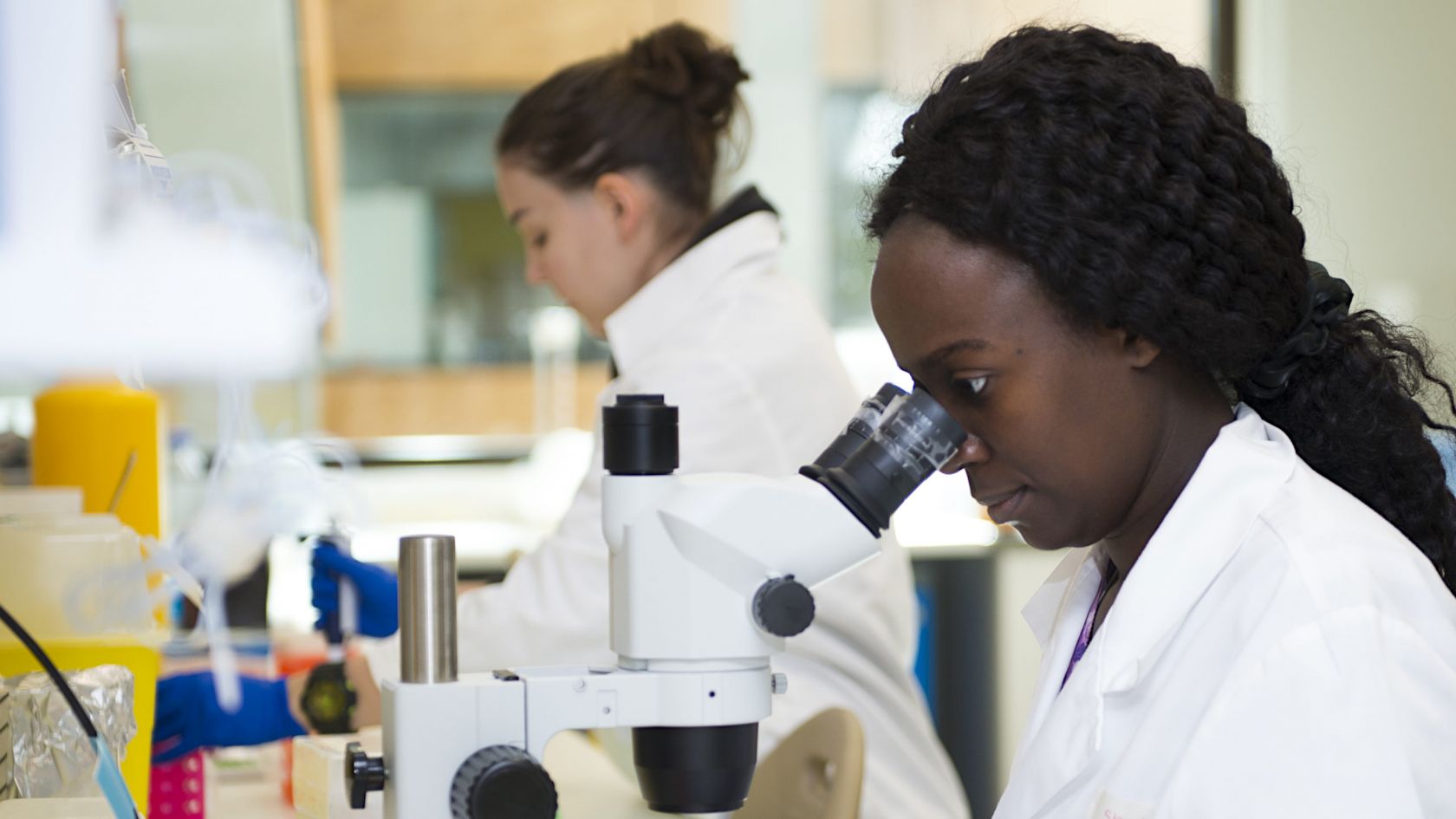 Diploma of Biological Sciences | La Trobe University