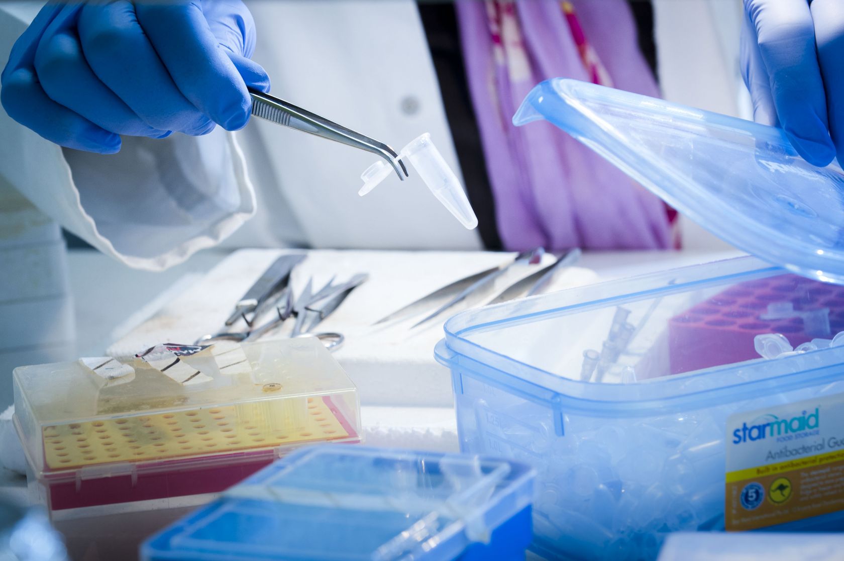 Bachelor of Biomedical Science (Medical) | La Trobe University