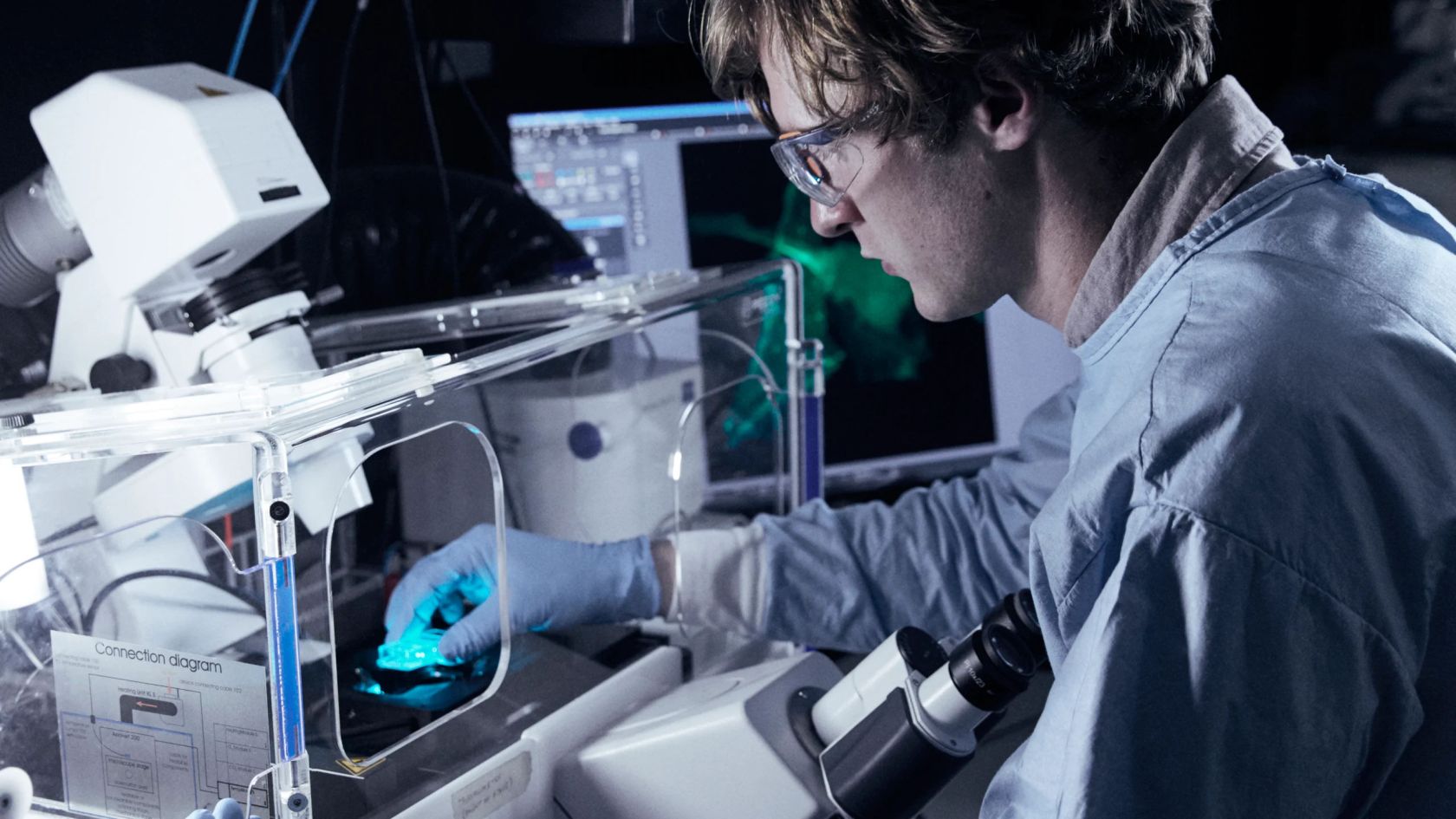 Bachelor of Biomedical Science | La Trobe University