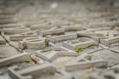 Study a language, Department of Languages and Cultures, Study with the ...