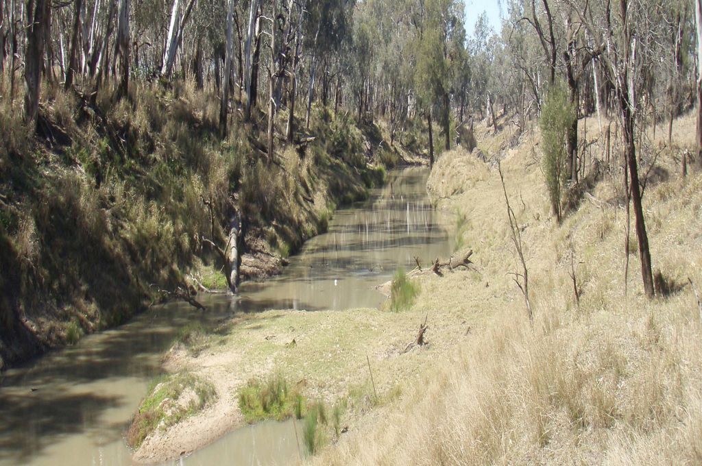 Condamine, Centre for Freshwater Ecosystems , La Trobe University