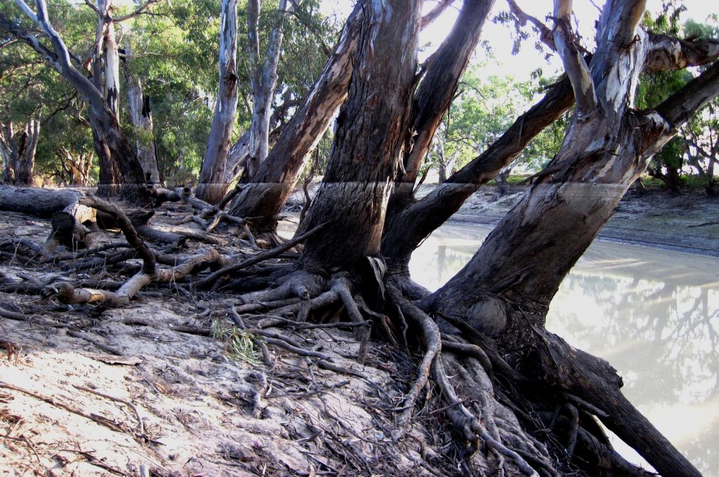 Lower broken flows, Centre for Freshwater Ecosystems , La Trobe University