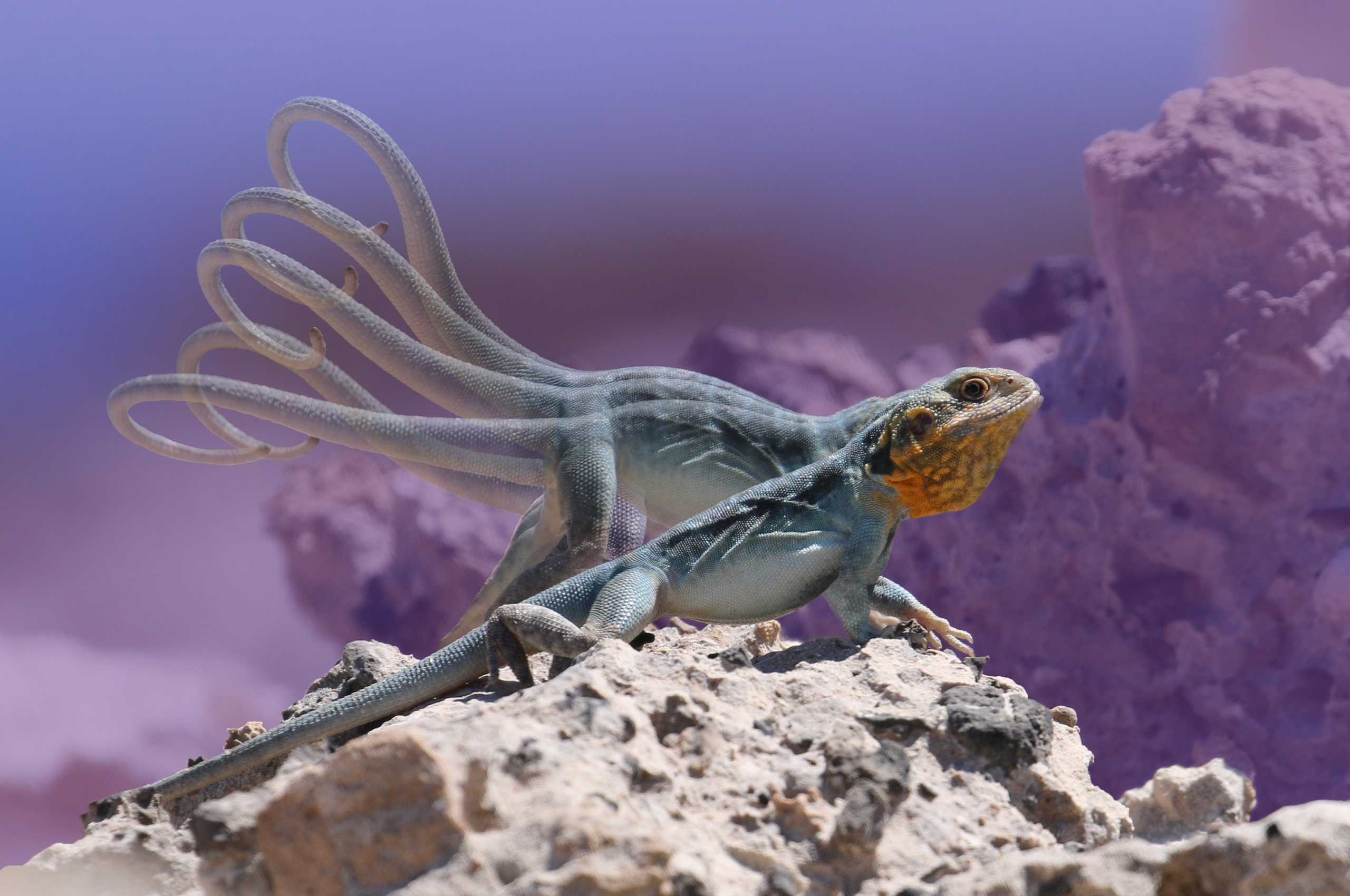 Art in life sciences, News, La Trobe University