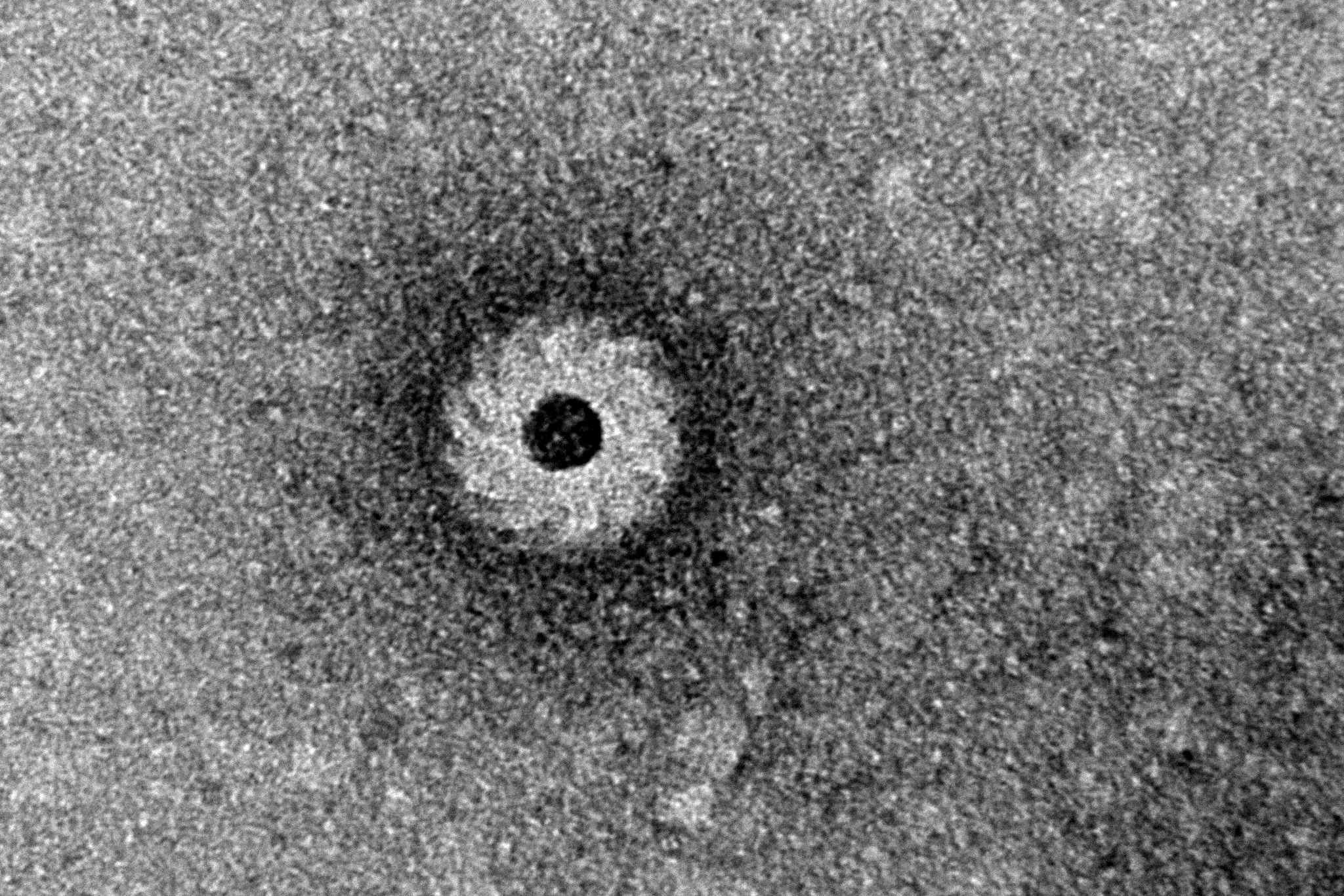 LIMS, La Trobe University