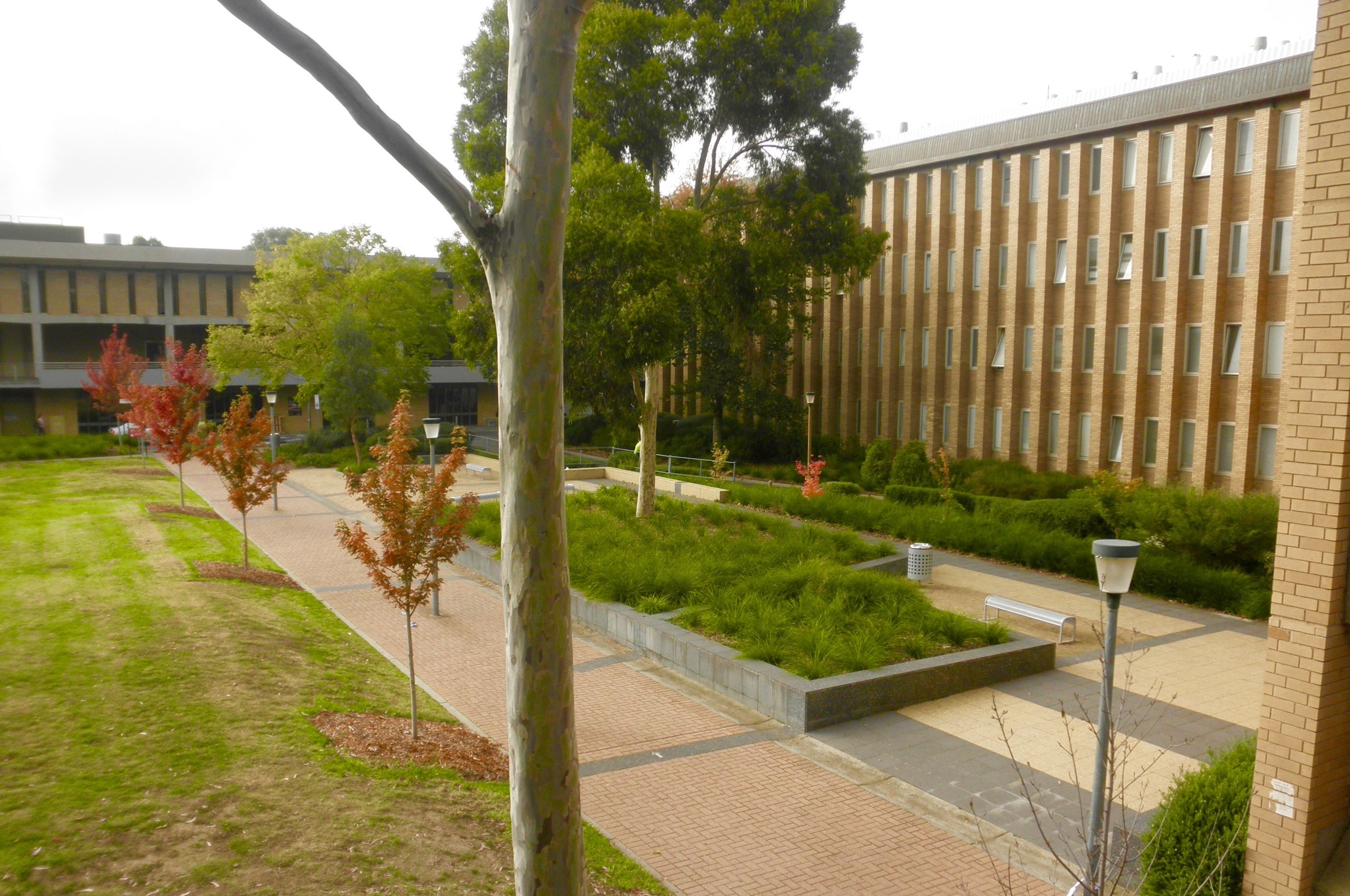 La Trobe Institute for Molecular Science (LIMS), La Trobe University