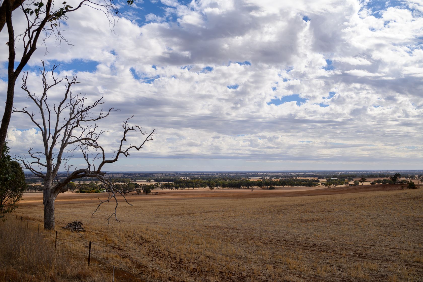 2025 La Trobe Rural Health School Conference, News, La Trobe University