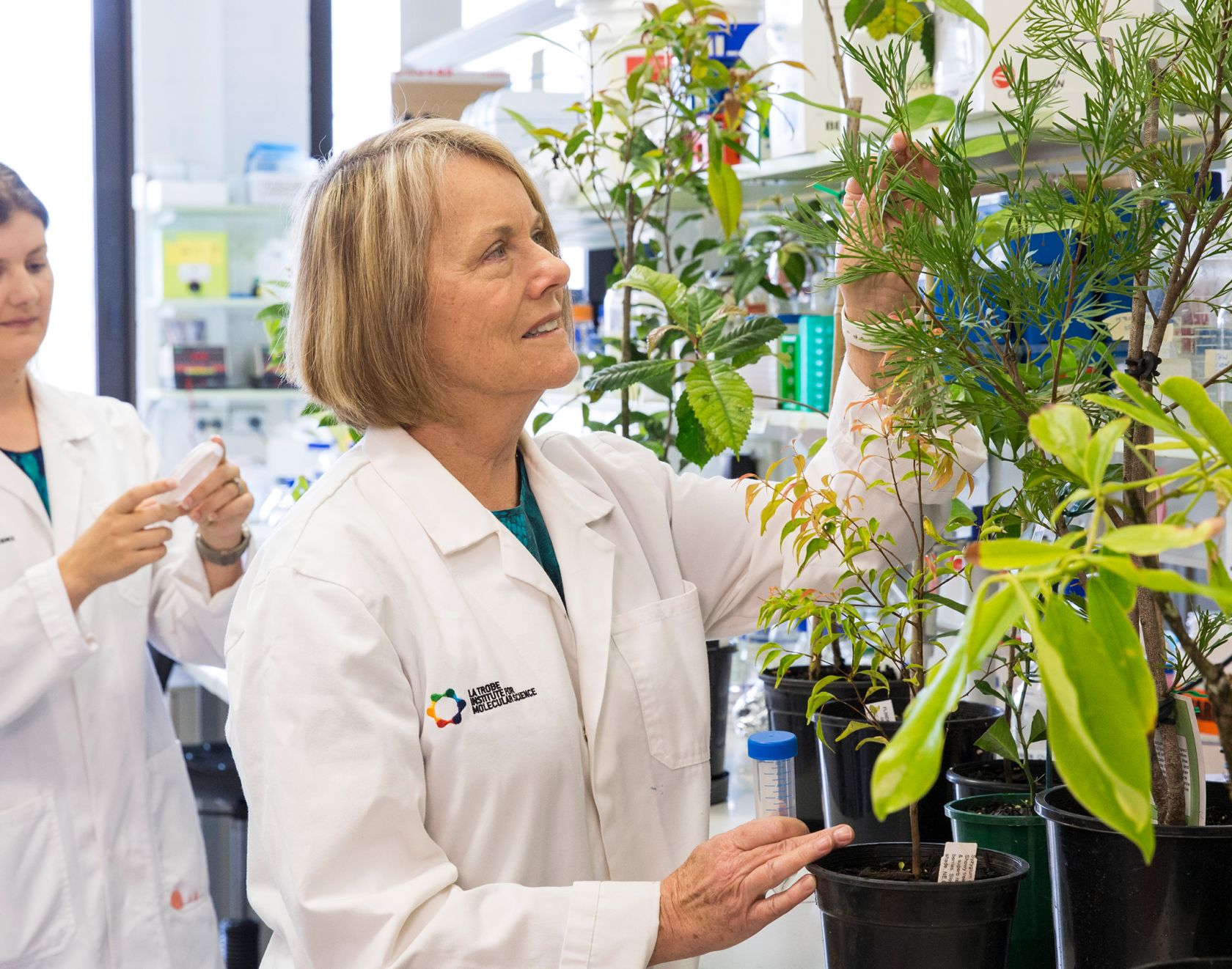 LIMS launches fellowship to support women in science, News, La Trobe ...