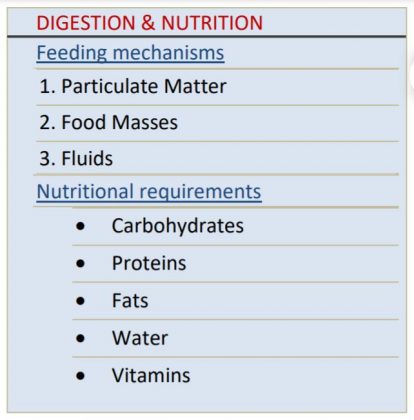 6 tricks to make study notes you'll actually remember - MyLaTrobe