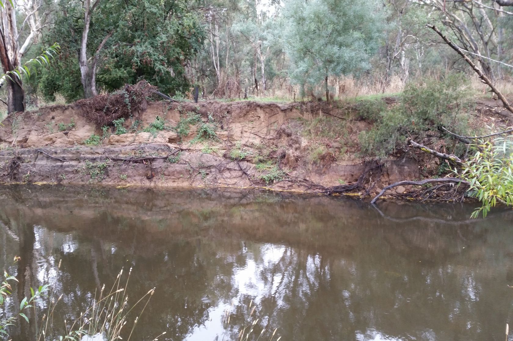 Mining history to protect Victorian rivers, News, La Trobe University