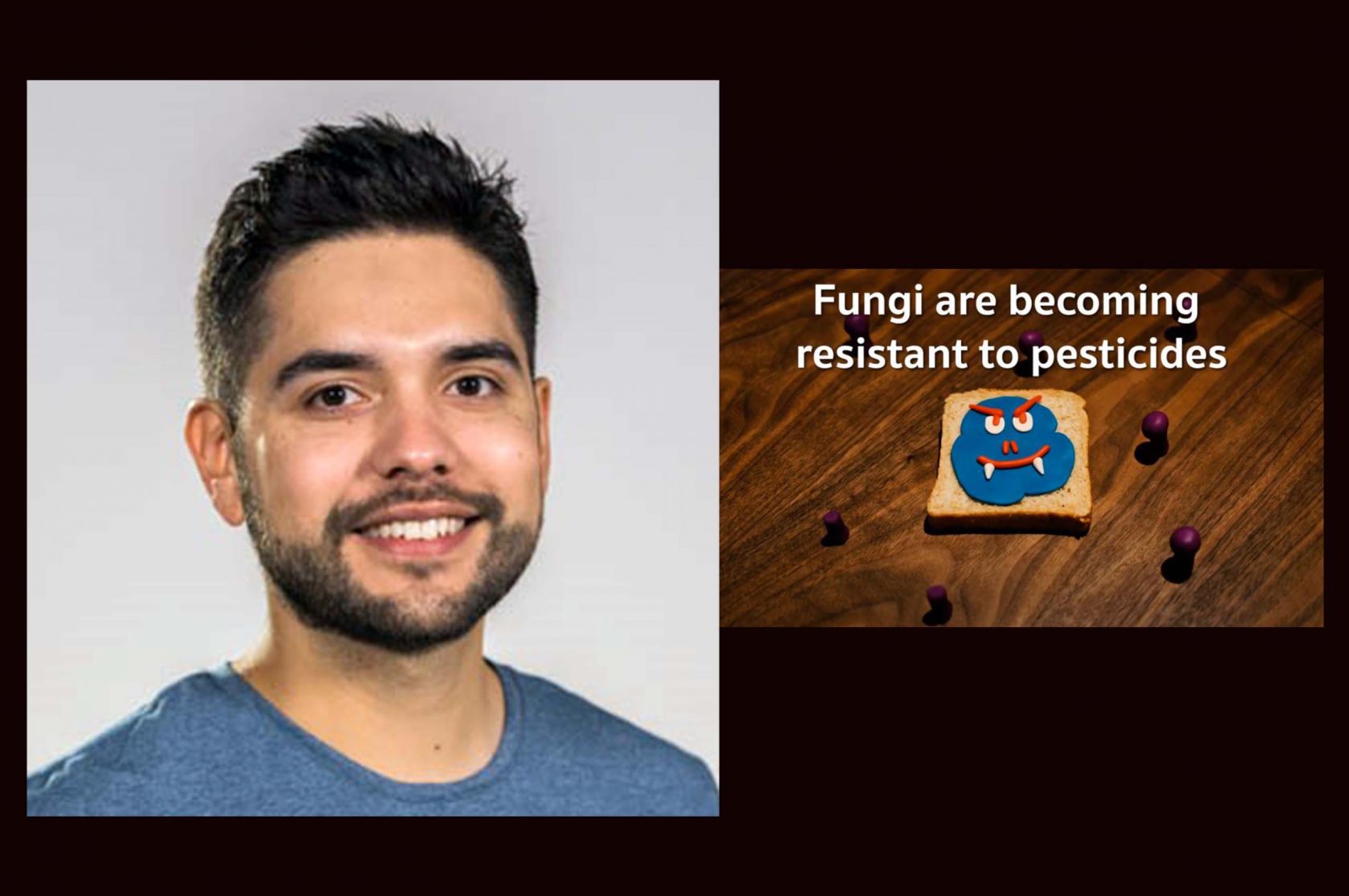 How I became a more creative researcher, News, La Trobe University