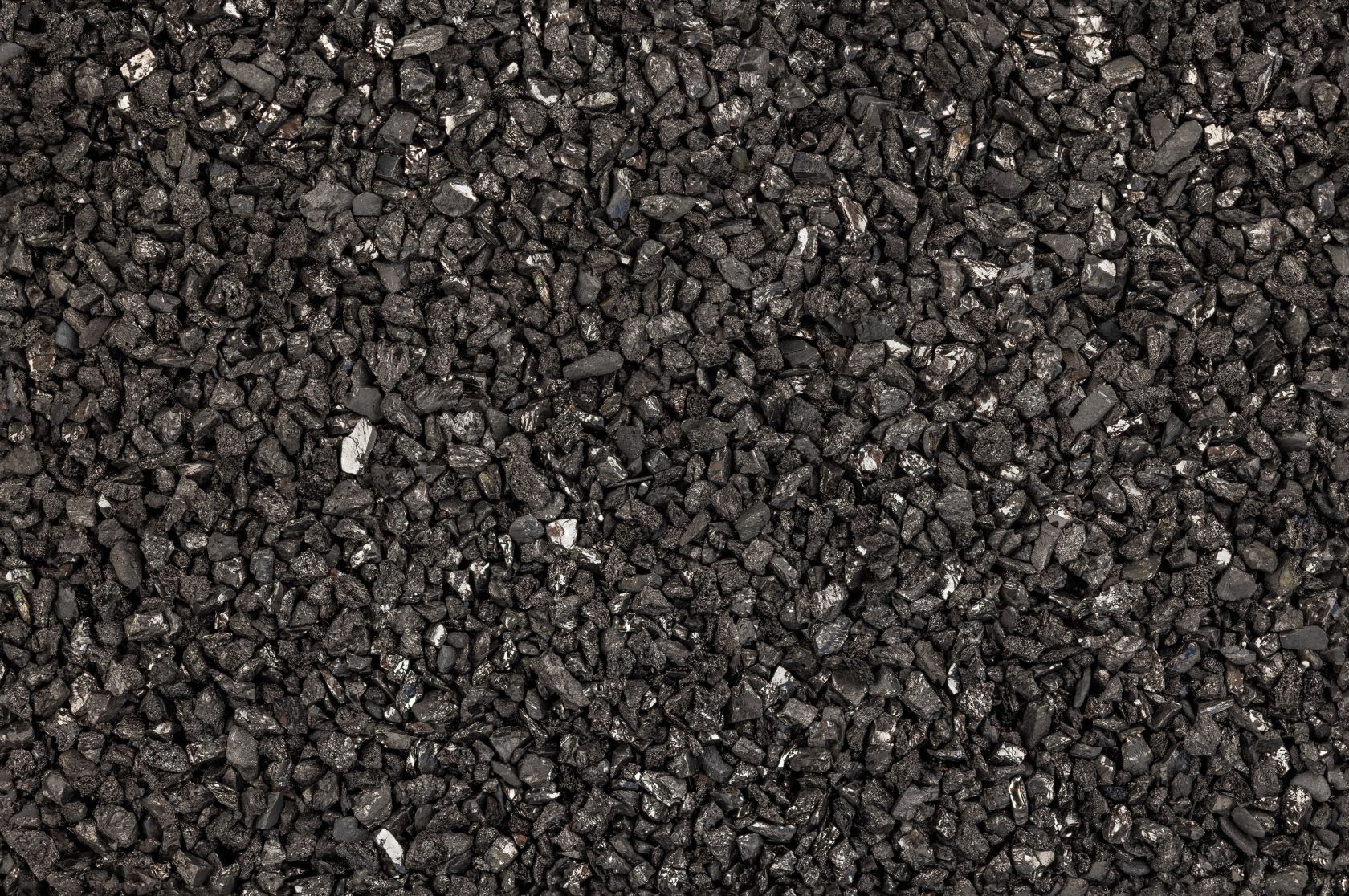 Inaugural Professor Laurie Cahill award, News, La Trobe University