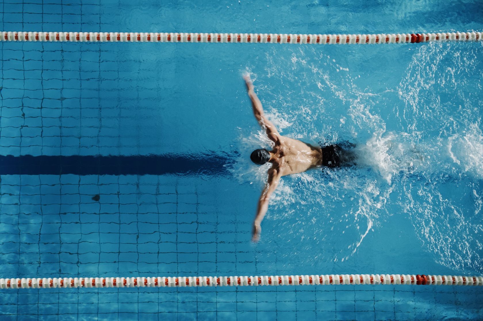 Department of Sport, Exercise and Nutrition Sciences, La Trobe University