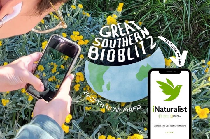 Great Southern Bioblitz, News, La Trobe University