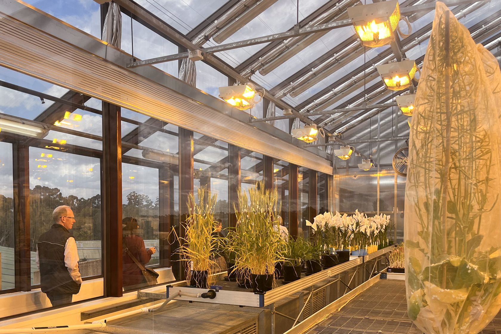 La Trobe "Aggies" cultivate connections at AgriBio, News, La Trobe University