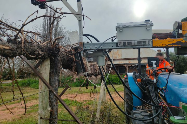 From vines to algorithms: How robots are transforming grape farming ...