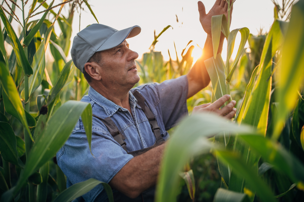 John Richards Centre for Rural Ageing Research, Research, La Trobe ...