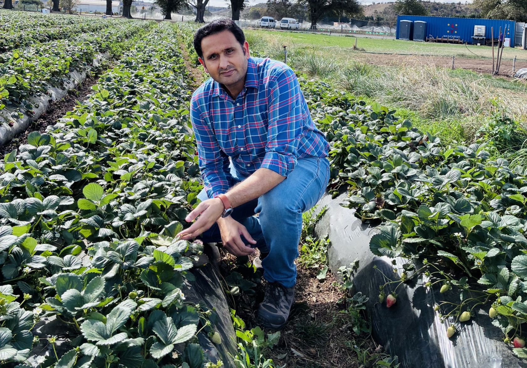 Non-toxic Weed Control To Boost Crop Production | Mirage News