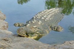 La Trobe Institute for Molecular Science (LIMS), La Trobe University