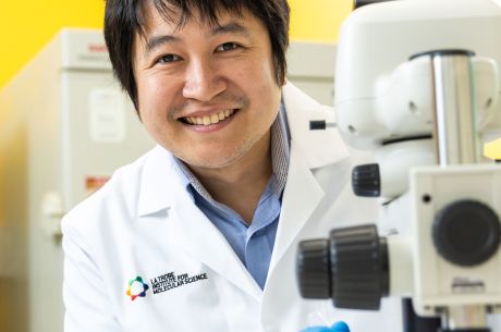 LIMS Explains: Why red blood cells lose their nucleus, News, La Trobe ...