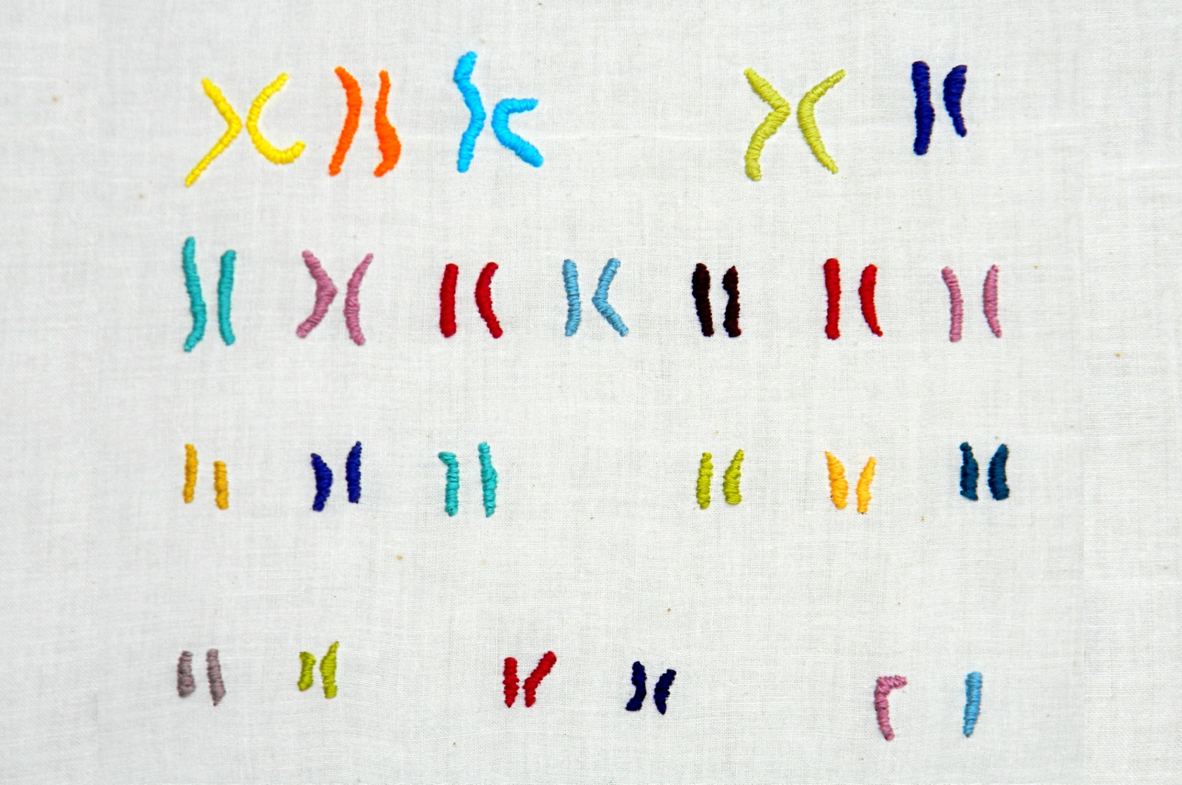 Xy Chromosome Male Test