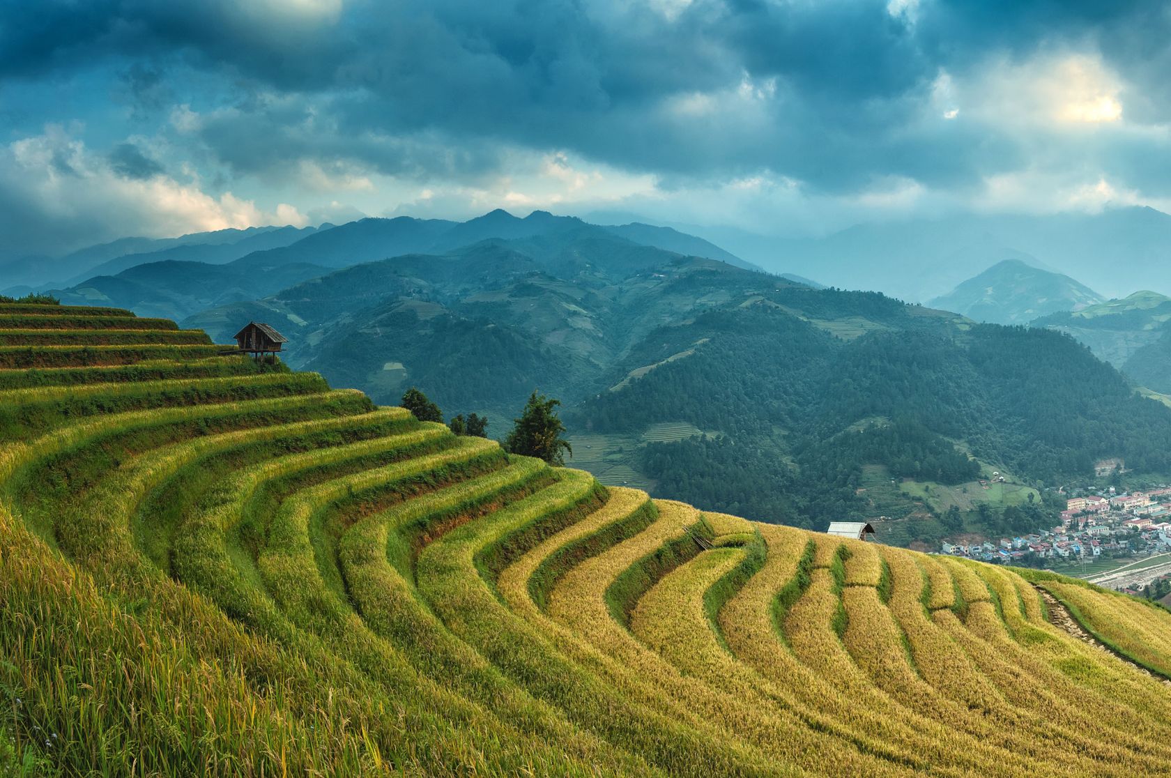 Promoting healthy biomes in China’s rice supply, News, La Trobe University