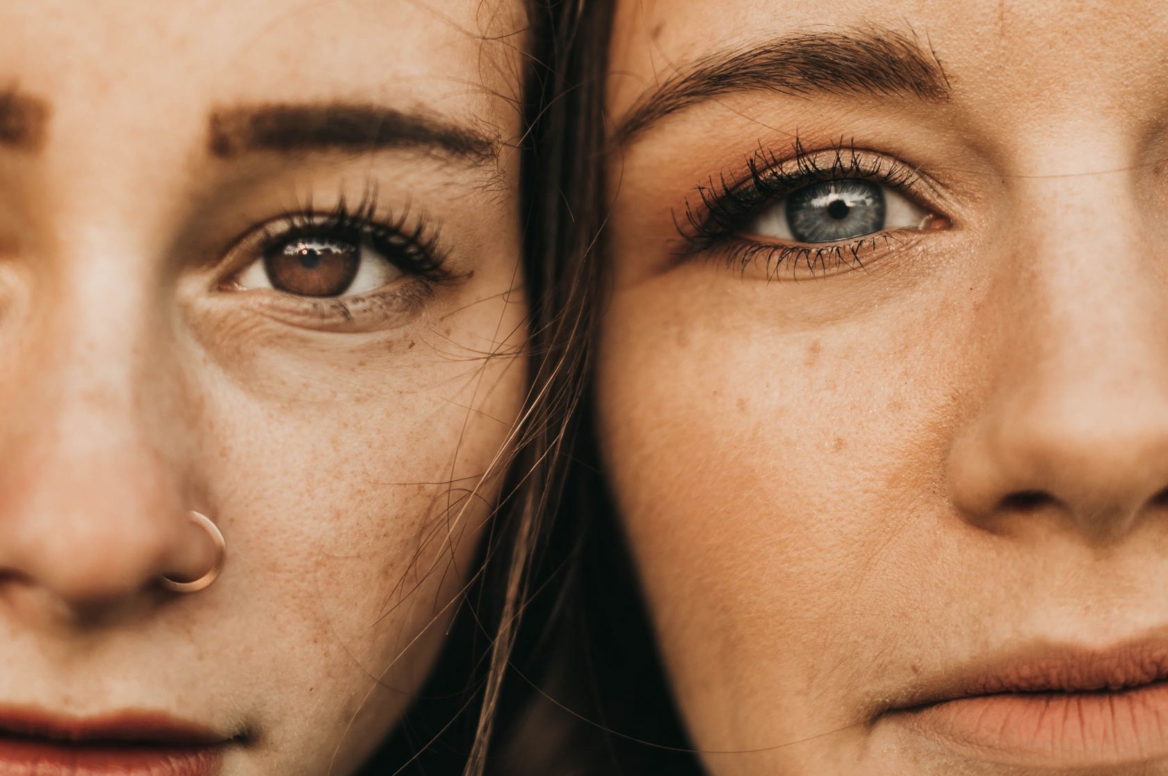 Why your face looks the way it does, News, La Trobe University