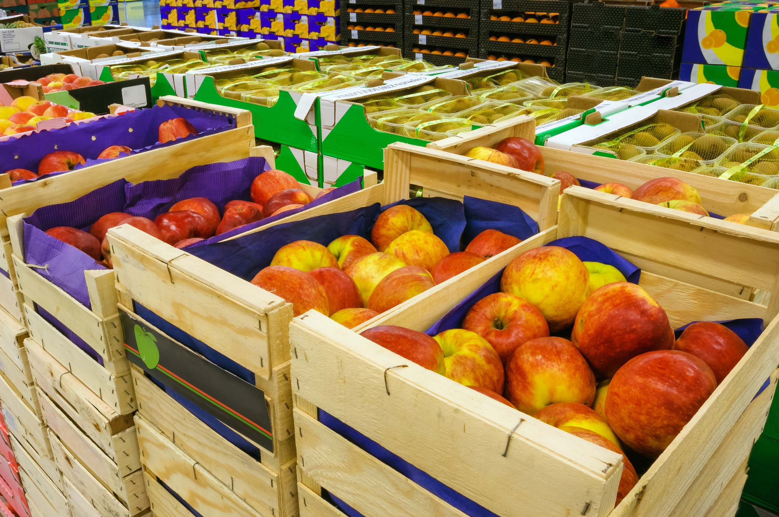 Food Transport To Be Revolutionised News La Trobe University