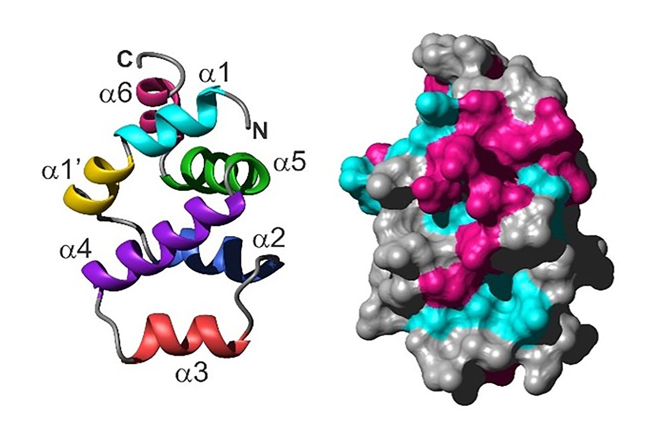 Protein Structure Determination, Office of Research Infrastructure ...