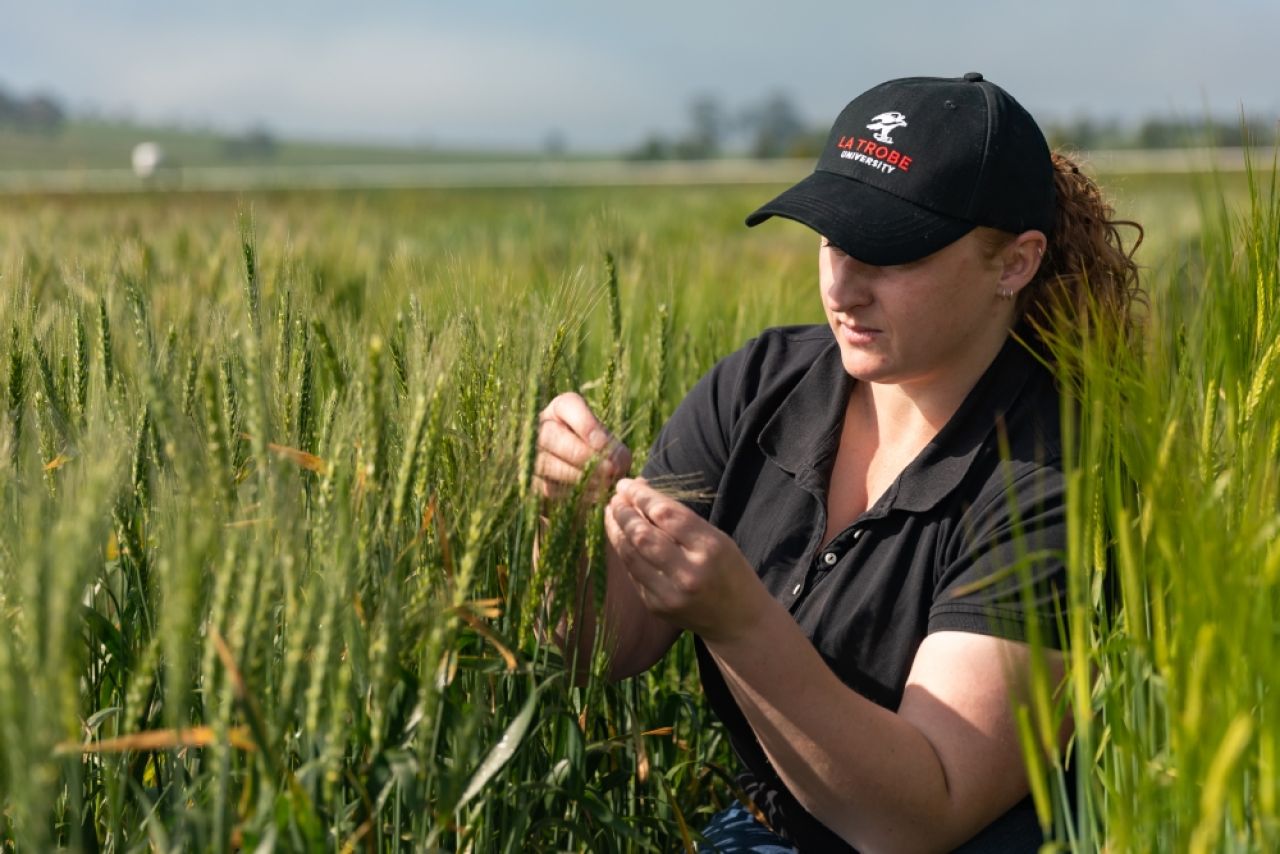 Sustainable food and agriculture, Research, Research themes, La Trobe ...
