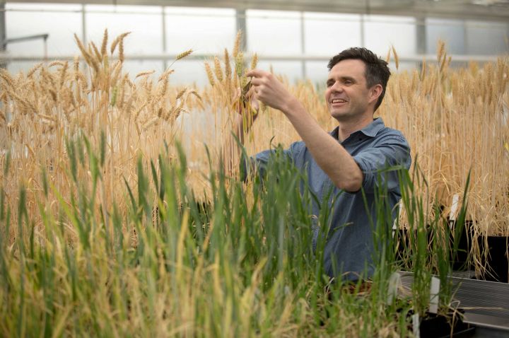 Sustainable food and agriculture, Research, Research themes, La Trobe ...