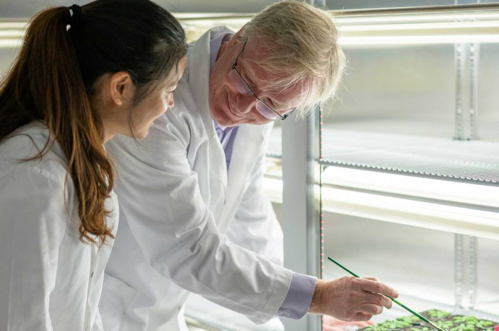 Sustainable food and agriculture, Research, Research themes, La Trobe ...