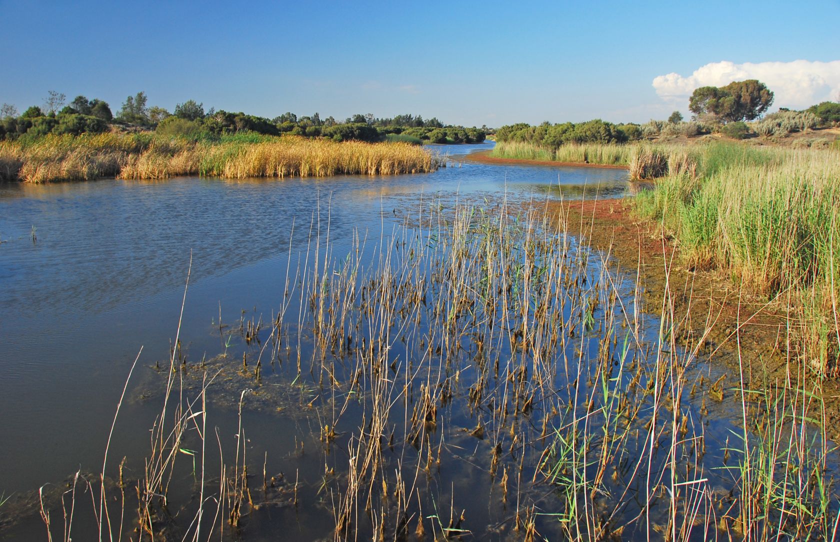Climate change and wetland plant communities, News, La Trobe University