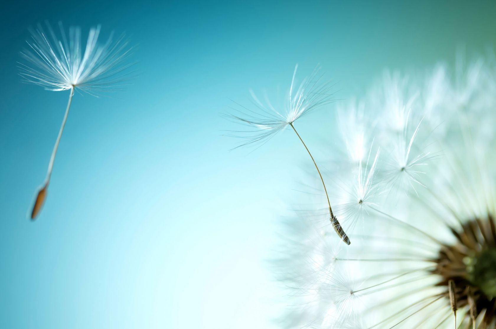 Multifaith Spiritual Wellbeing service, Help and Support, Wellbeing ...