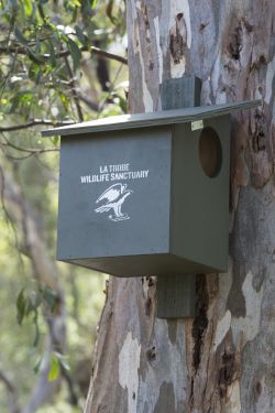 Nesting boxes, Nangak Tamboree Wildlife Sanctuary, La Trobe University