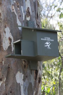 Nesting boxes, Nangak Tamboree Wildlife Sanctuary, La Trobe University