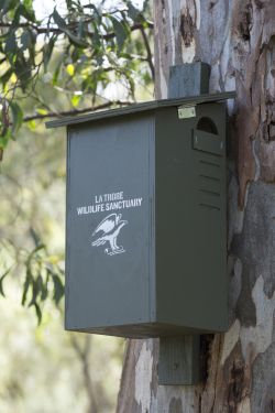Nesting boxes, Nangak Tamboree Wildlife Sanctuary, La Trobe University