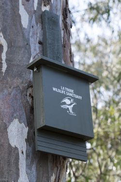 Nesting boxes, Nangak Tamboree Wildlife Sanctuary, La Trobe University
