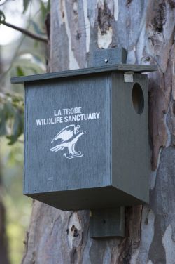 Nesting boxes, Nangak Tamboree Wildlife Sanctuary, La Trobe University